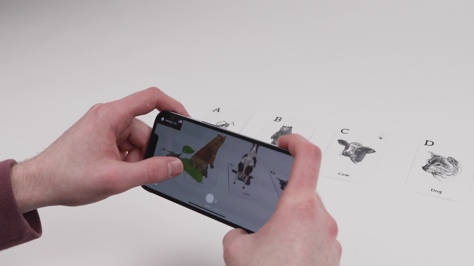 Animal 4D+ Augmented Reality Cards – Octagon Studio